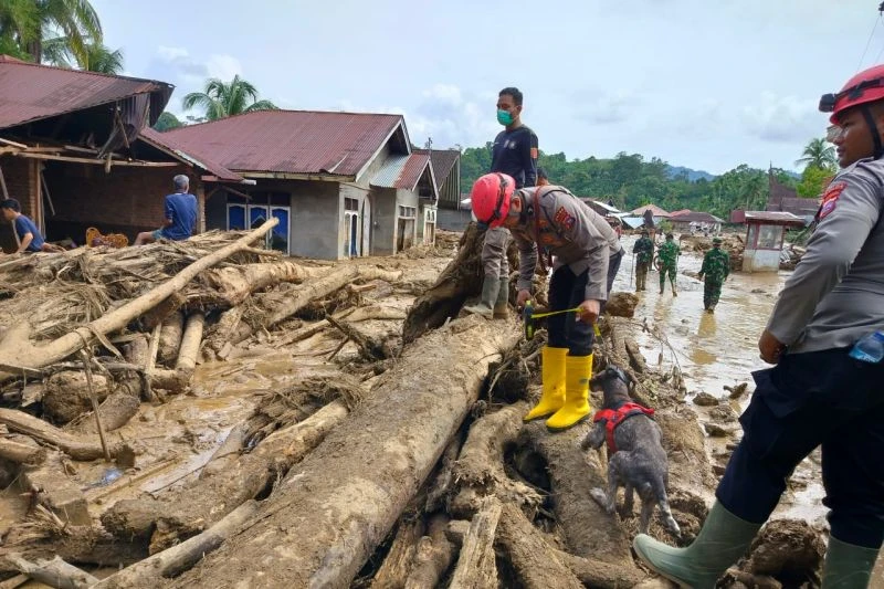 1.157 Korban Bencana Hidrometeorologi Sumatra Terbaru 2025 | BahasBerita